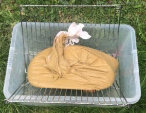 How To Recycle Clay - Easy Ways to Reclaim Clay Scraps