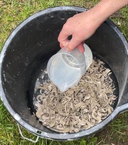 3 Ways to Rehydrate Bone Dry Clay Pots - What Works?