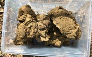 How to Make Clay from Dirt – Perfect Natural Clay Creations